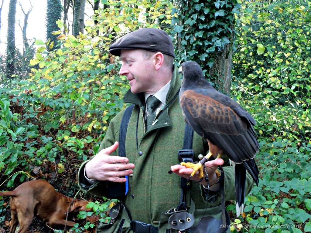 Hawk Walk at Mount Falcon Estate Ireland Vacation