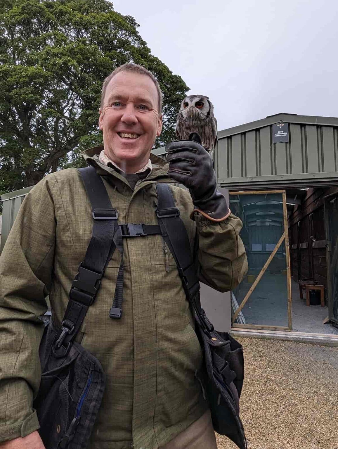 Where to Experience Falconry & Hawk Walks in Ireland