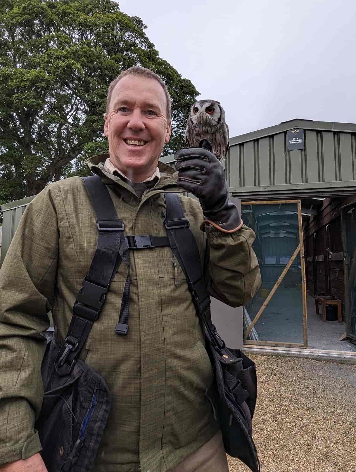 Where to Experience Falconry & Hawk Walks in Ireland